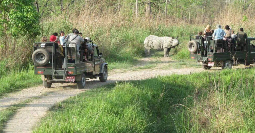 Chitwan Jungle Stay Overland Tour - 4 Days - Gomayu Holidays